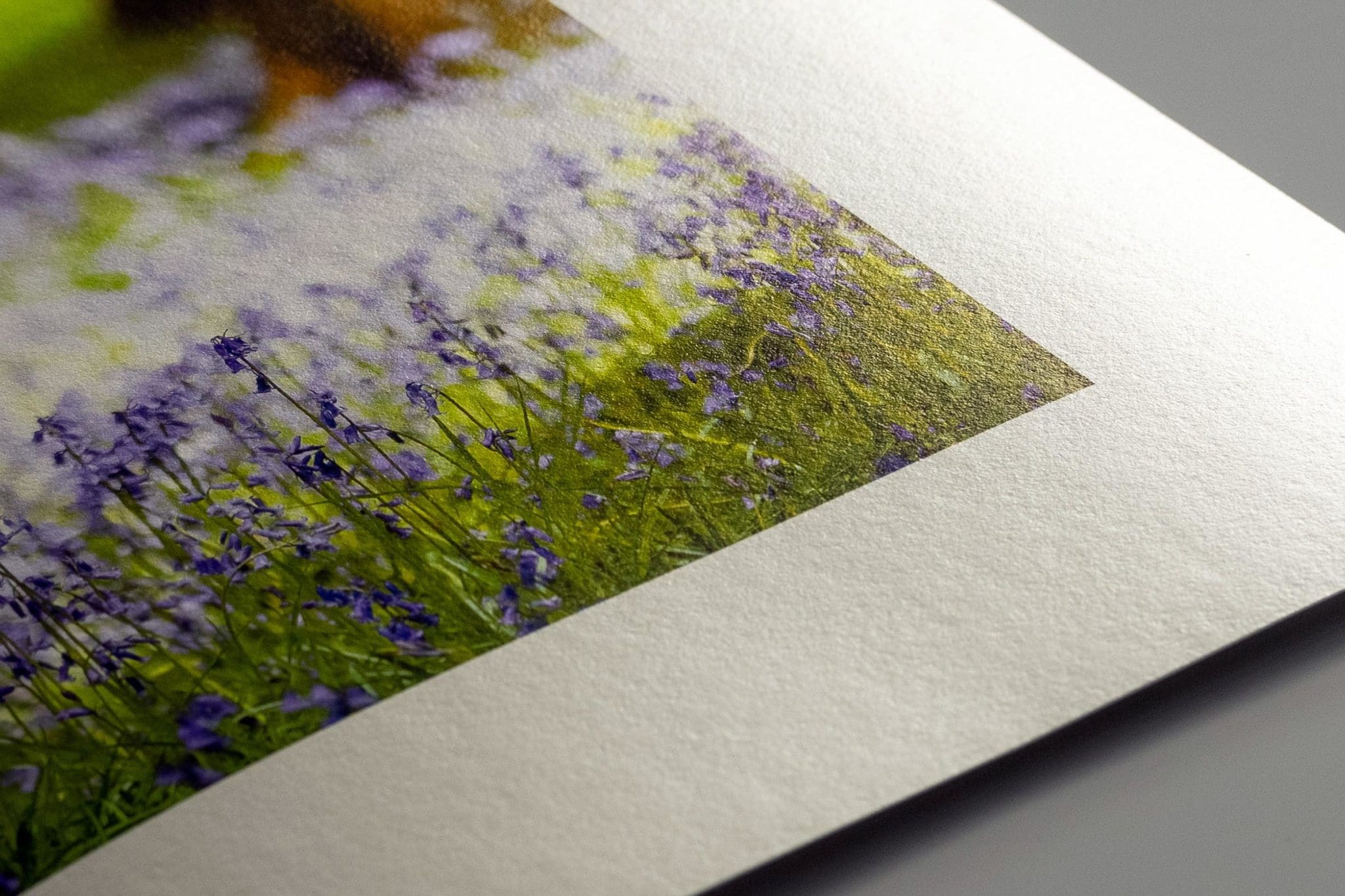 Hahnemühle Photo Rag Metallic - Sharkfin Media