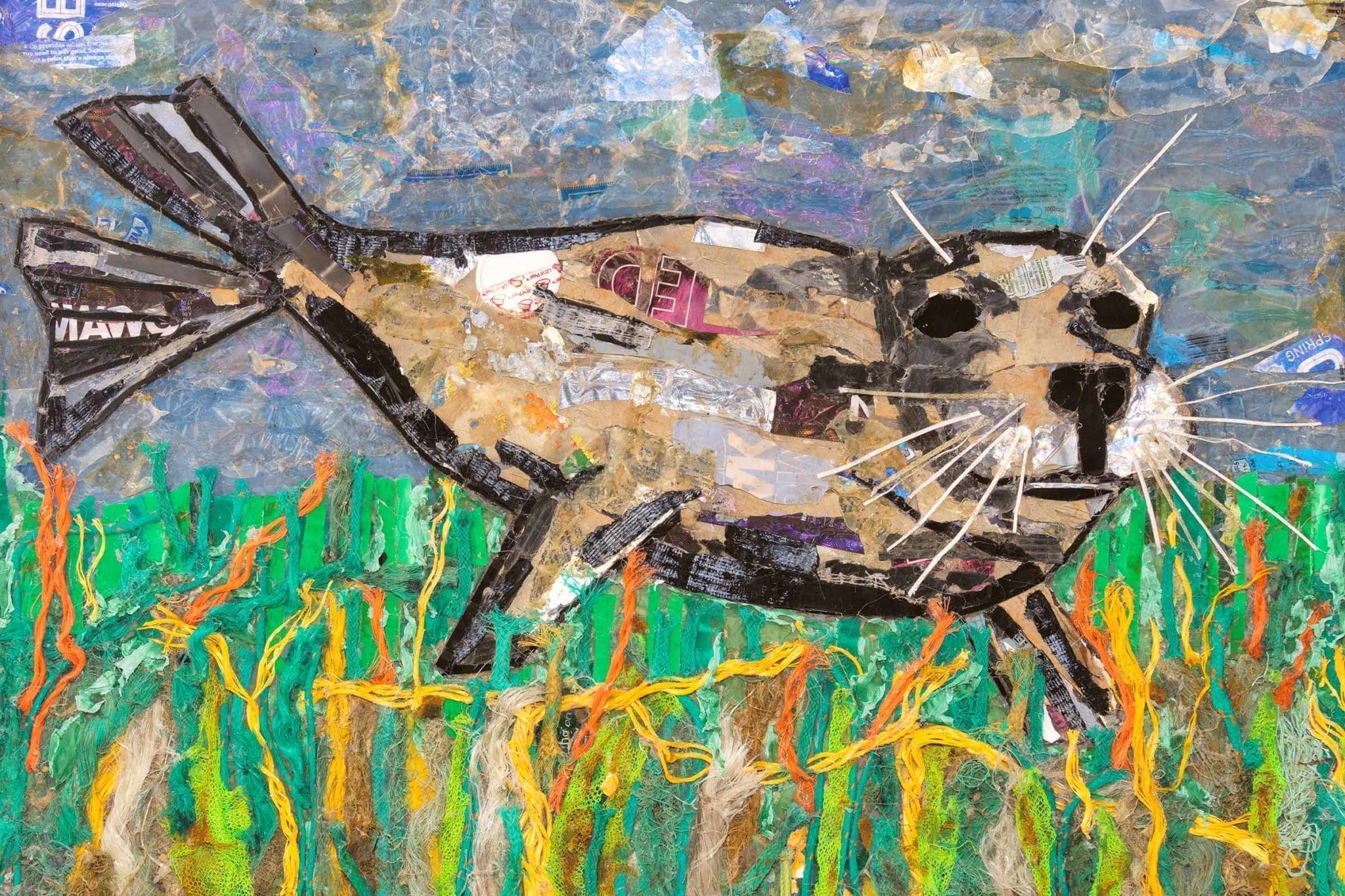 Bonnie Steward - Sharkfin Media